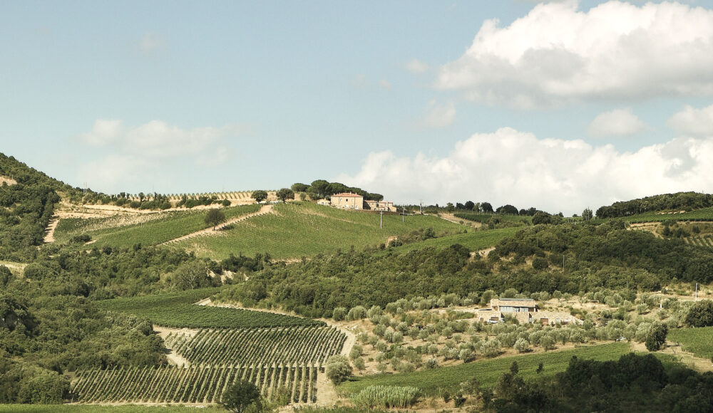 Brunello di Montalcino - Alpine Cellar